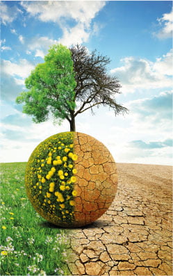 DRAGON-LINE MEA | MOBILE DRIP IRRIGATION